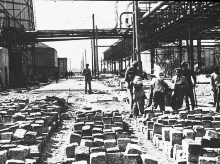 Wystawa o podobozie Auschwitz III-Monowitz w Brzezince | dzieje.pl ...