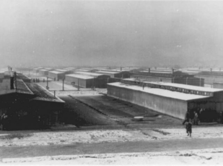 KL Auschwitz i podobozy | dzieje.pl - Historia Polski