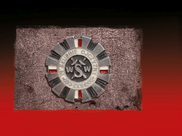 Dyskusja w IPN o WSW – wojskowym aparacie represji w PRL i jego ...