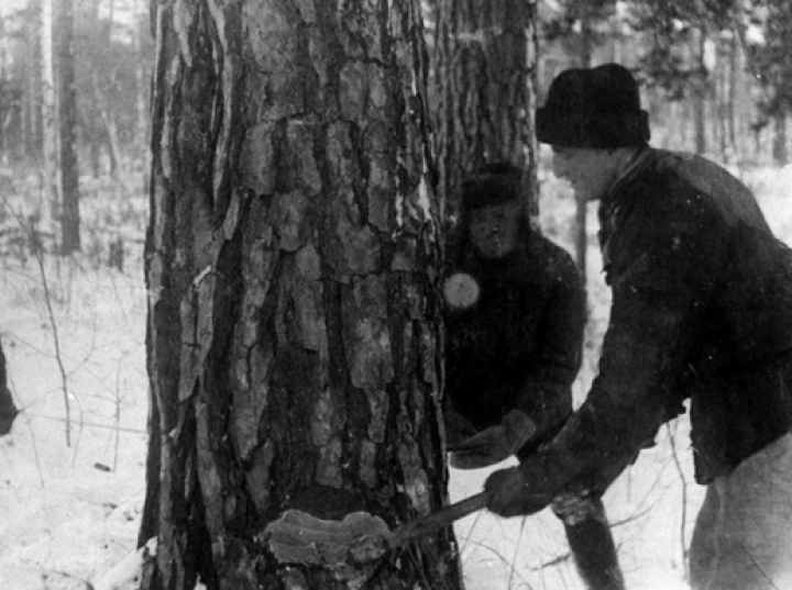 80 lat temu ZSRS przeprowadził trzecią z czterech masowych deportacji ... 80 lat temu ZSRS przeprowadził trzecią z czterech masowych deportacji ...