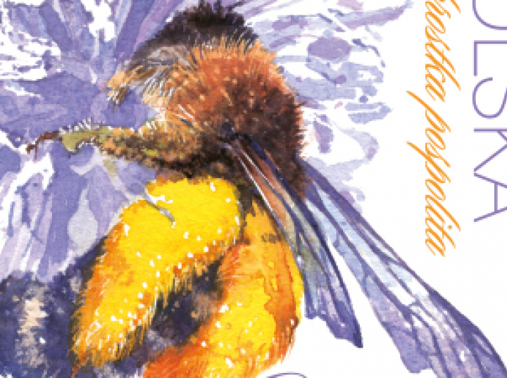 Poczta Polska wprowadziła do obiegu nową emisję filatelistyczną „Owady ...