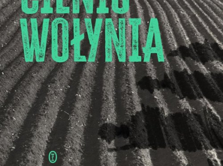 „W cieniu Wołynia. Antypolska akcja OUN i UPA w Galicji Wschodniej 1943 ...