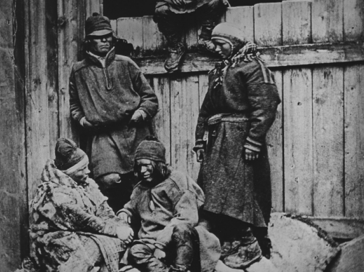 W Laponii odkryto najstarszy krzew na świecie; ma około 1650 lat ... W Laponii odkryto najstarszy krzew na świecie; ma około 1650 lat ...