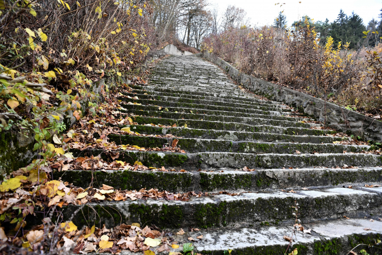 Polowanie na polską elitę Śląska: Intelligenzaktion Schlesien | dzieje ...